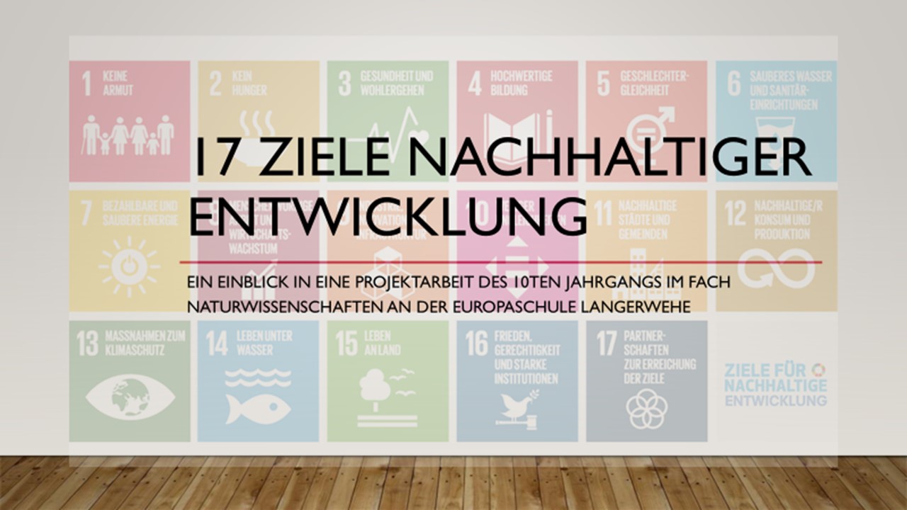 17 Ziele nachhaltiger Entwicklung – Europaschule Langerwehe Gesamtschule